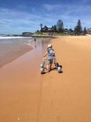 Wheeleez™ All Terrain Walker Conversion Kit w/24cm PU Beach Wheels ...