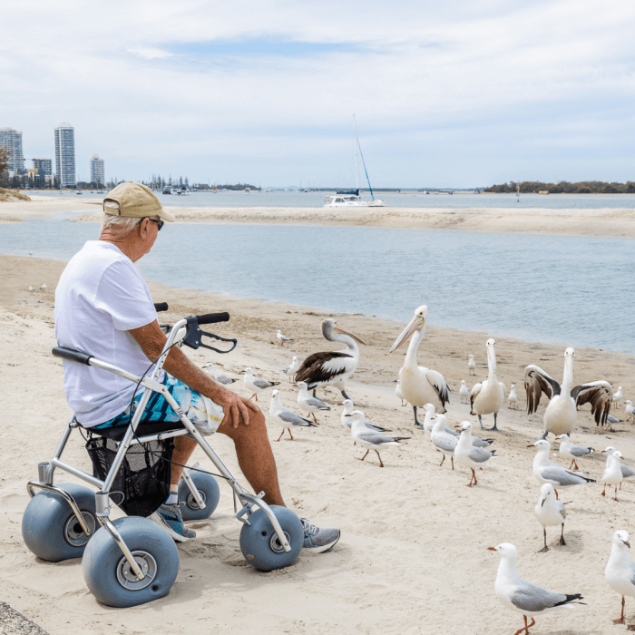 Wheeleez™ All-Terrain/ Beach Rollator - Beachwheels Australia